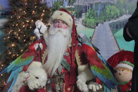 santa-w-birds-resized-2 - San Antonio Aquarium